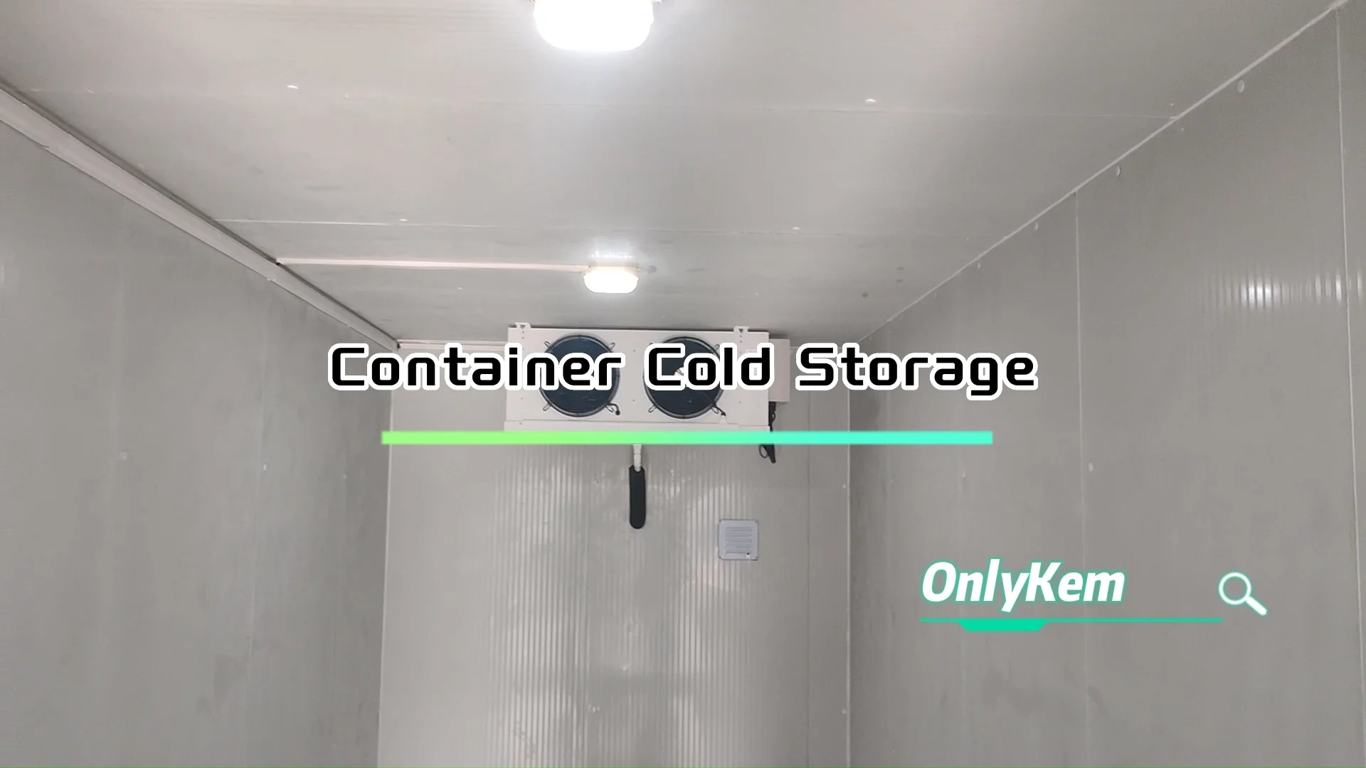40 Feet Refrigerated Container Cold Room Of Frozen Chicken - Buy ...