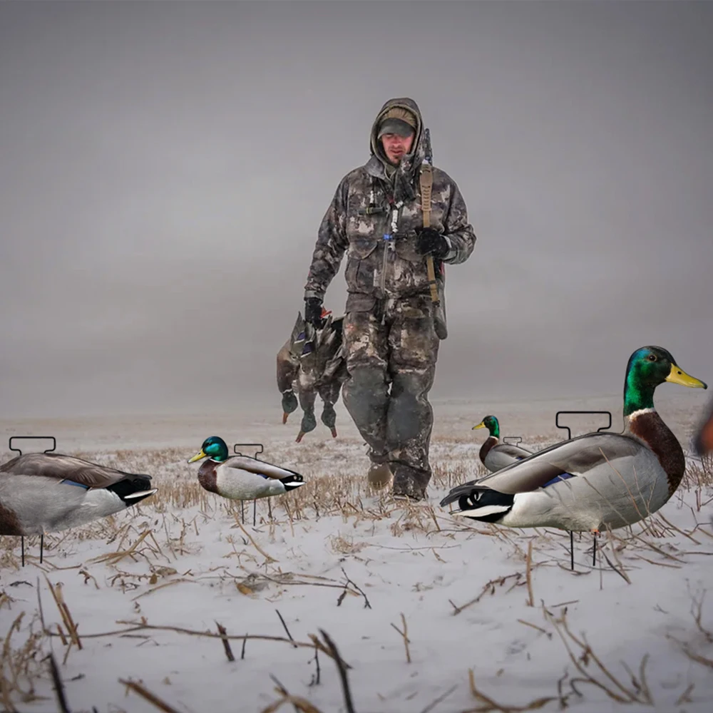 Lifelike Mallard Drake & Hen Silhouette Decoys for Hunting