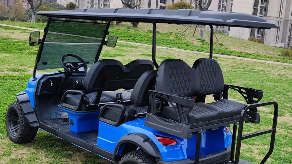 4 Wheel Legal Gas Powered 4 6 8 10 Seater Off-road Gasoline Golf Carts ...