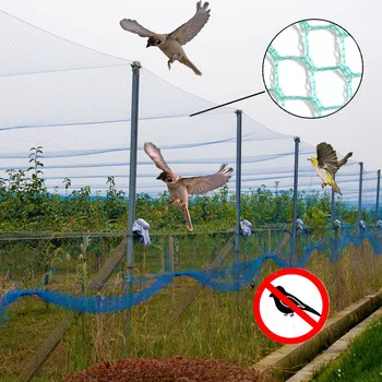Good Elasticity Agricultural Mist Bird Catching Net Anti Bird Trapping ...