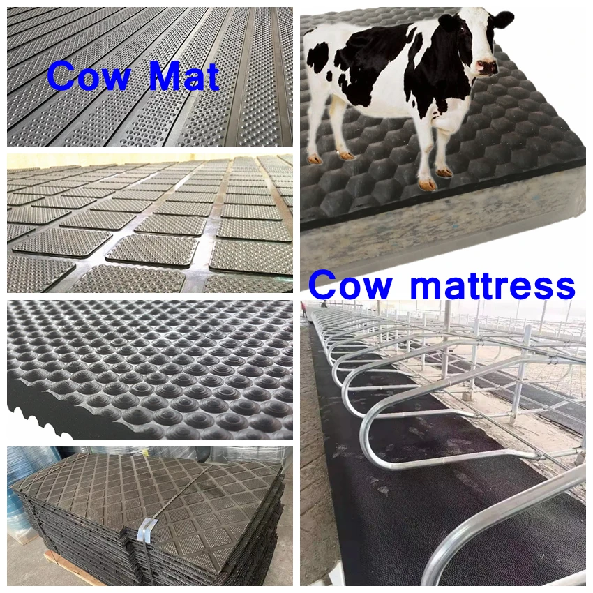 17mm 20mm 25mm Anti-Slippery Cow Mat Customizable Livestock Stall ...