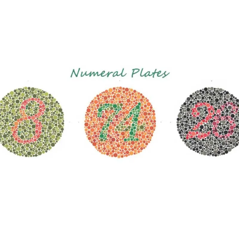 Kanehara Ishihara Test Chart Books 38 Plate Optics Instruments For ...