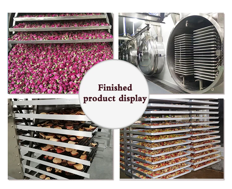 TCA Automatic Coffee Lyophilizer - High Productivity