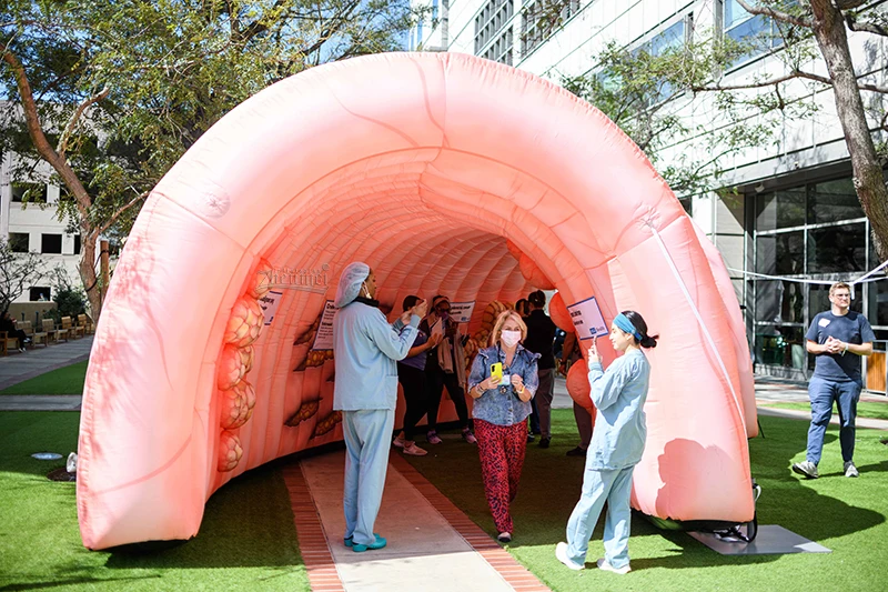 Custom Giant Inflatable Colon - Research & Education Tool