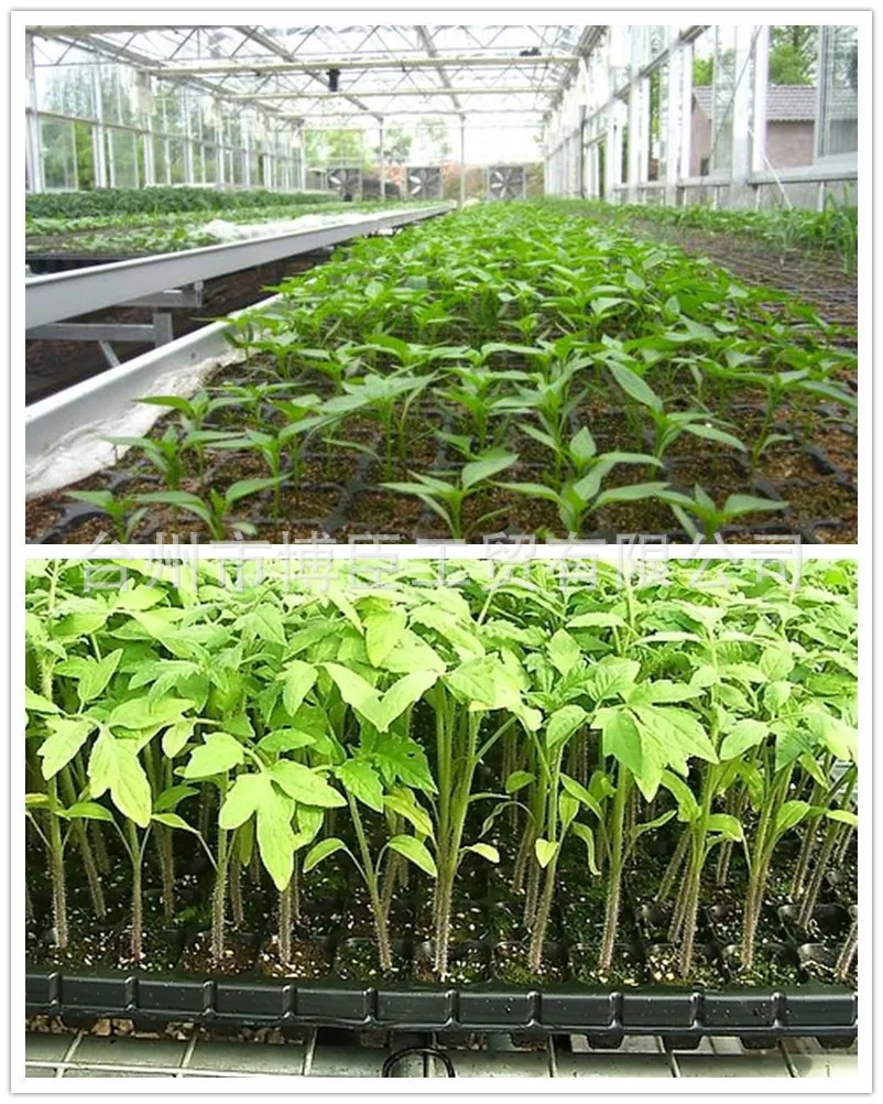 Qxy0250 Plant Seedling Germination Tray Seed Growing Tray Plastic Trays ...