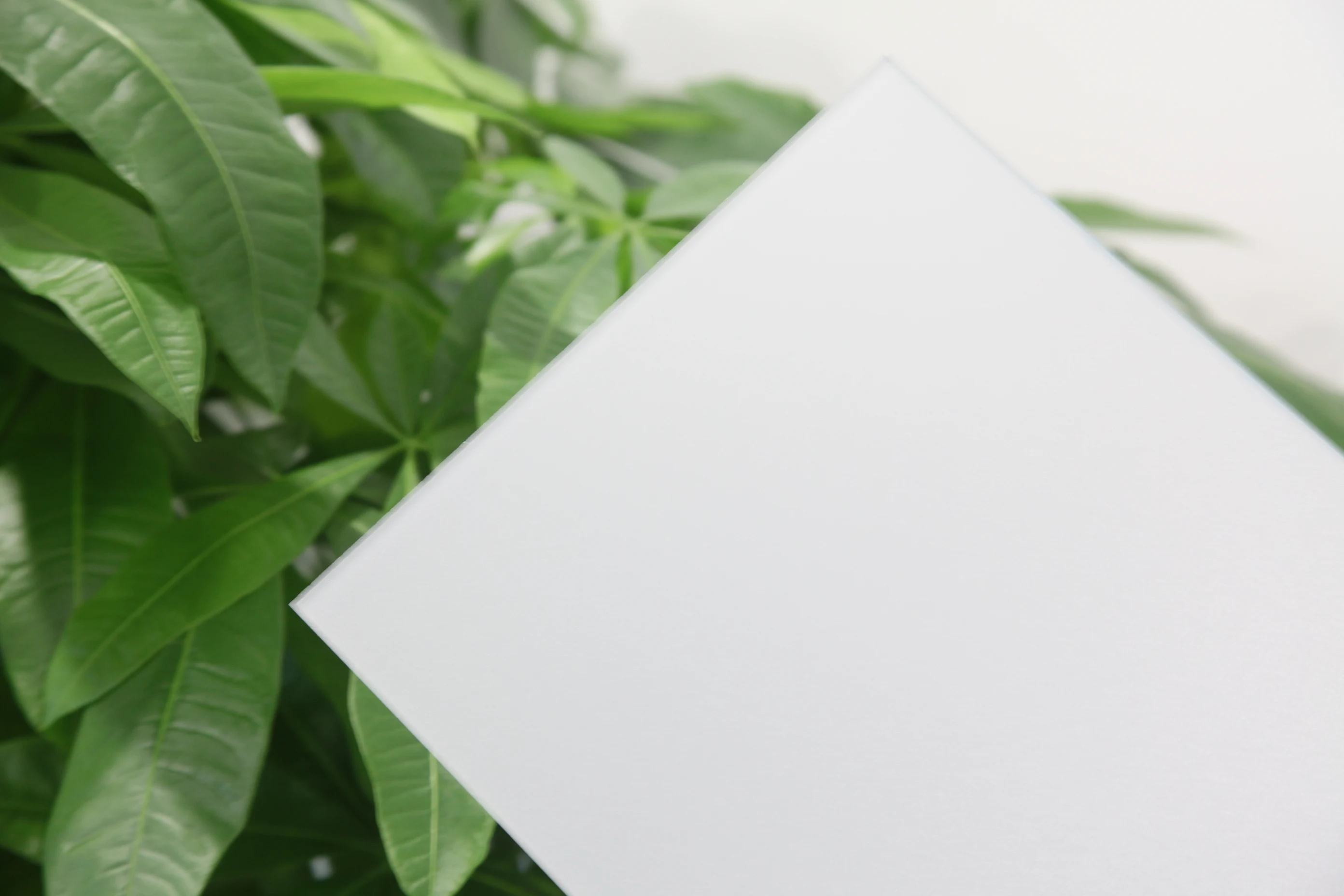 1mm 1.5mm Opal Frosted PMMA Light Diffusion Sheets for LED Panels