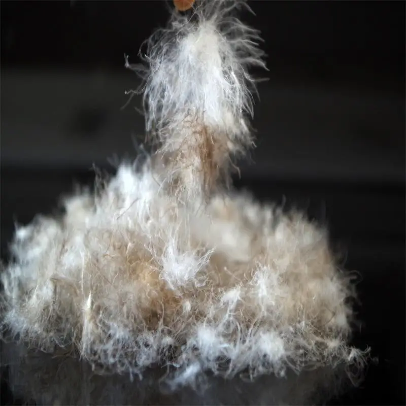 95% Washed Grey Duck Down Filling - Buy Grey Duck Down And Down ...