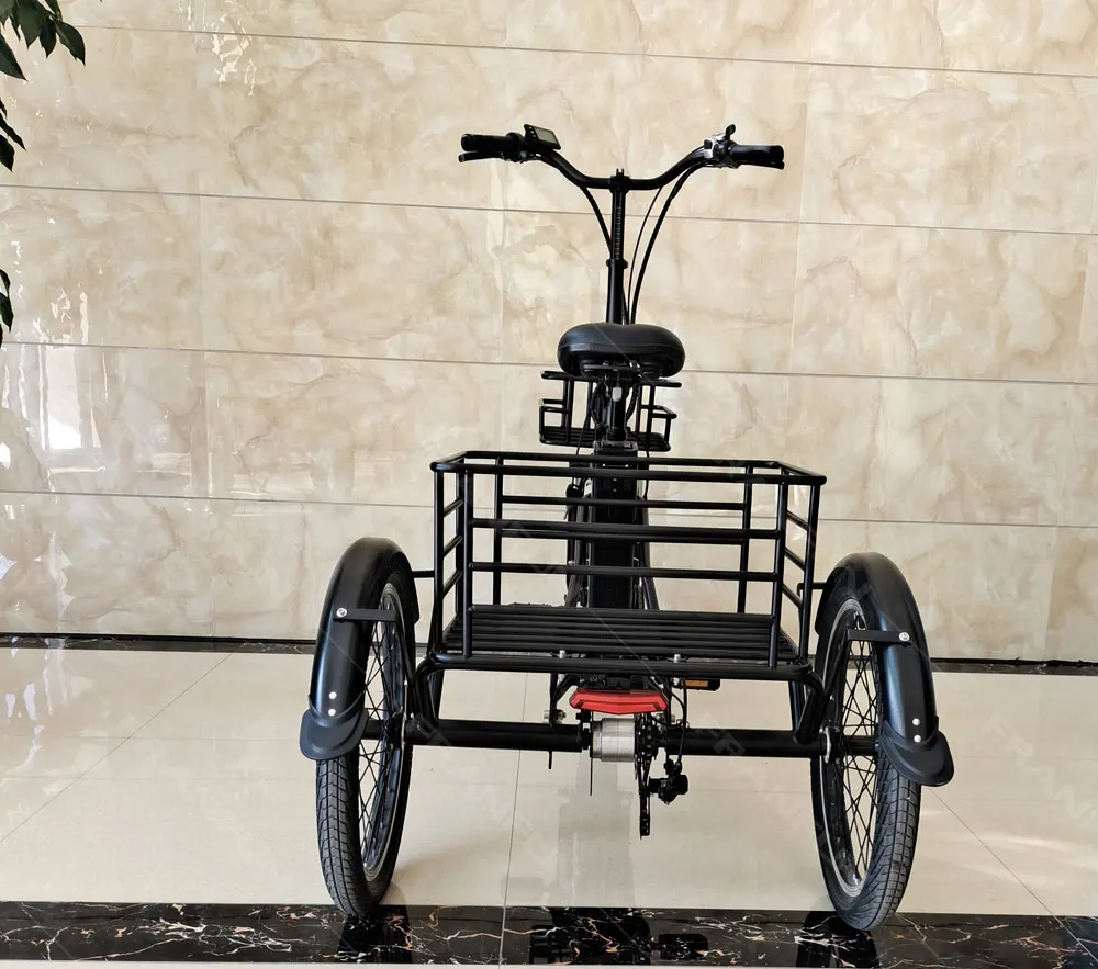 CE DOT 36V250W Motorized 3 Wheel Bicycle - Folding Cargo Tricycle