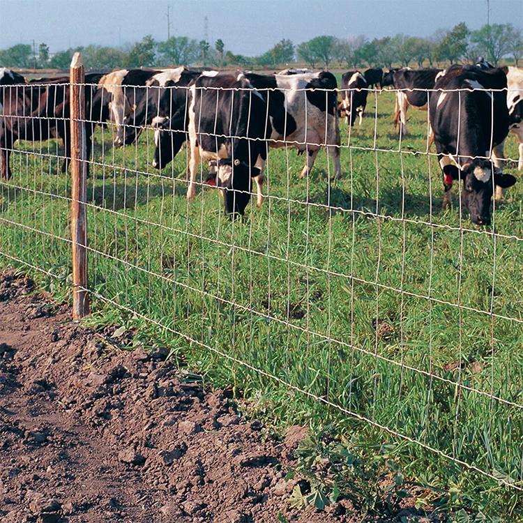 Farm Field Veldspan Wire Fence Roll Goat Sheep Livestock Hinge Joint ...