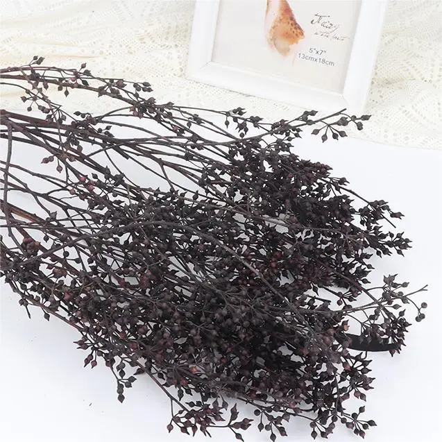 Preserved Seeded Willow Dried Millet Seeded Flower Fruit Preserved ...