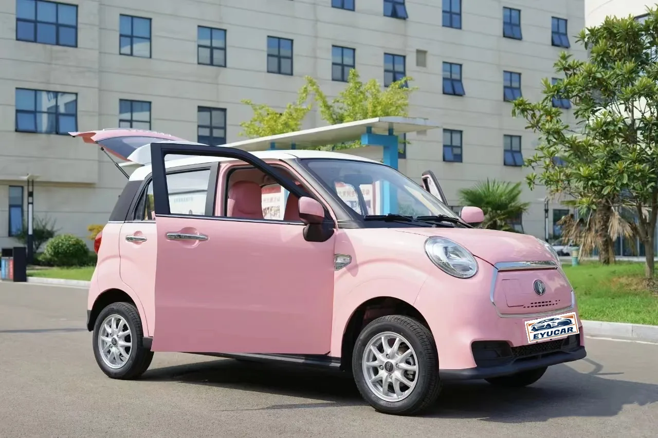 Range 401km 30kw Motor Power 5door 4 Seat Fwd Electric Hatchback ...