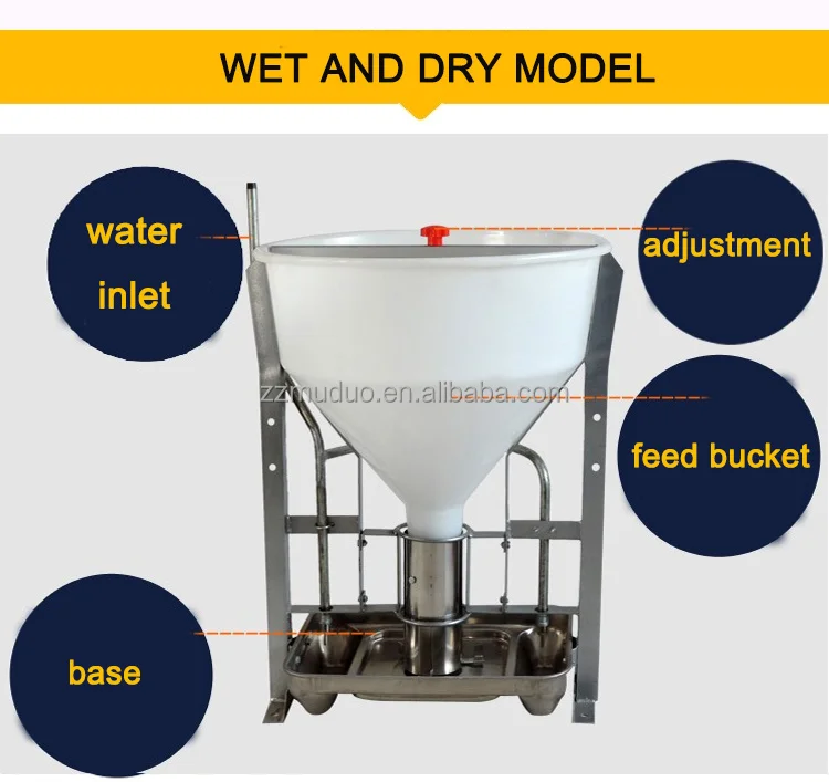 Automatic Pig Feeding Equipment - Efficient & Water-saving