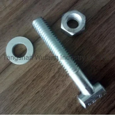 Scaffolding T Bolt with Nut - Durable & Versatile Solutions