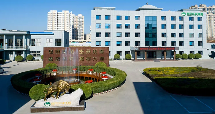 Wholesale DZK Brake Discs - Reliable Quality & Custom Sizes