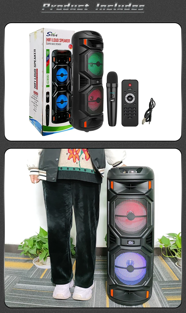 SING-E ZQS8221 Dual 8'' High Power Bass Speaker for Parties