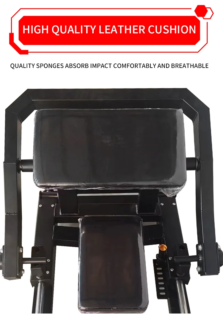 Customized Commercial Gym Solutions Multi Functional Glute Machine For ...