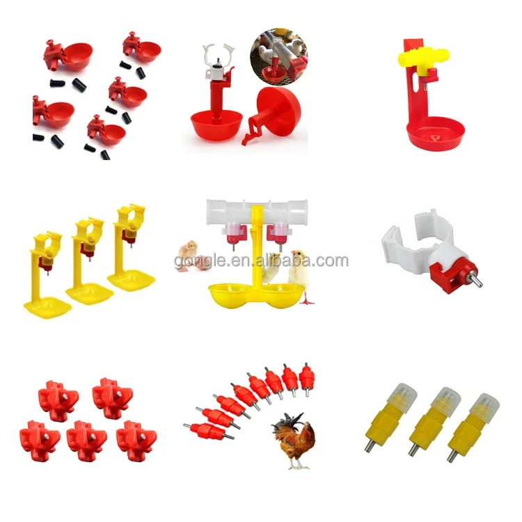 Broiler Chicken Poultry Farming Automatic Feeding Line and Automatic ...