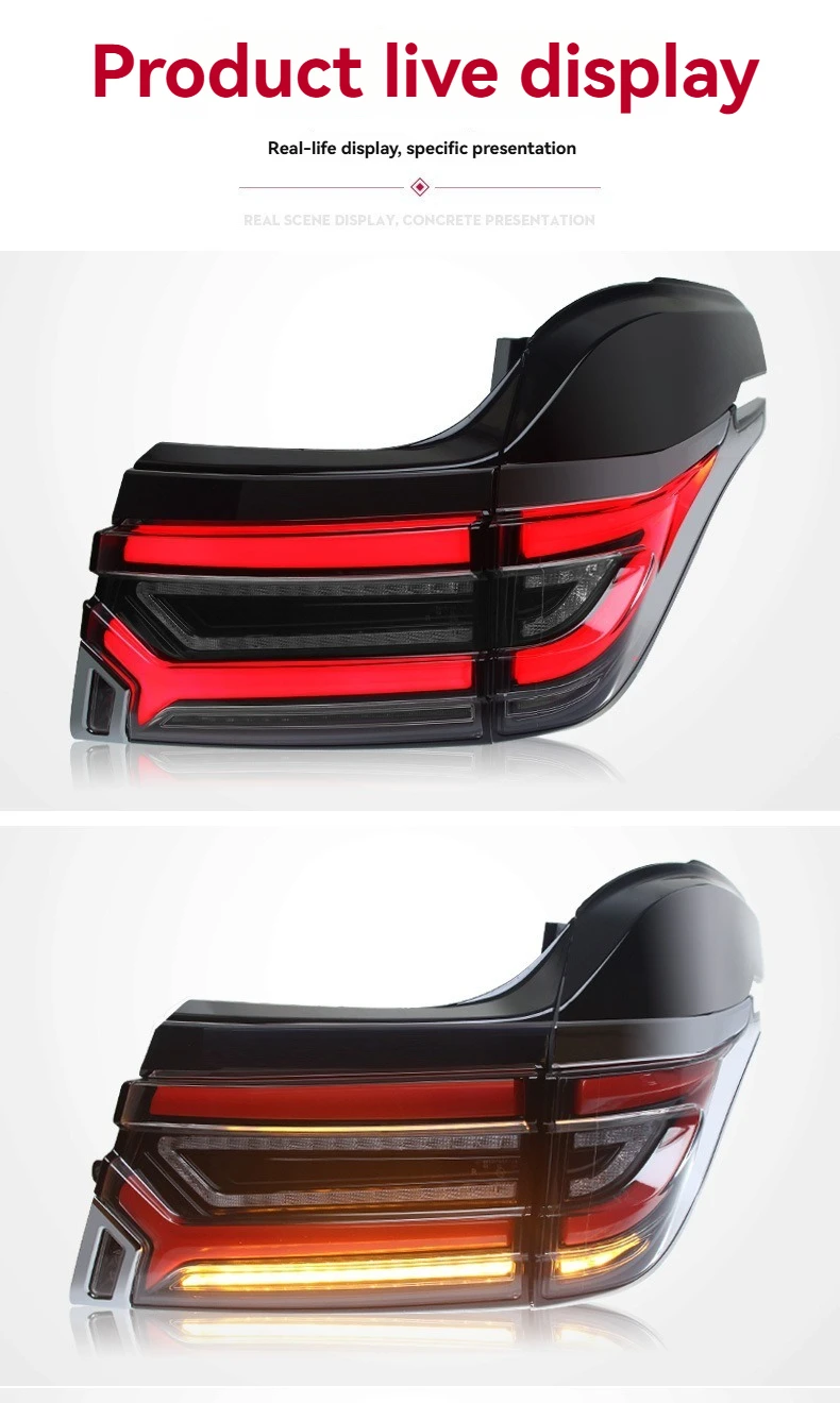 Toyota ALPHARD LED Taillight Assembly - Retrofitted LED