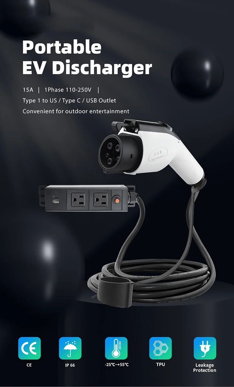 Amagicar Portable Discharge Gun Electric Car Discharge Plug Ev Portable ...