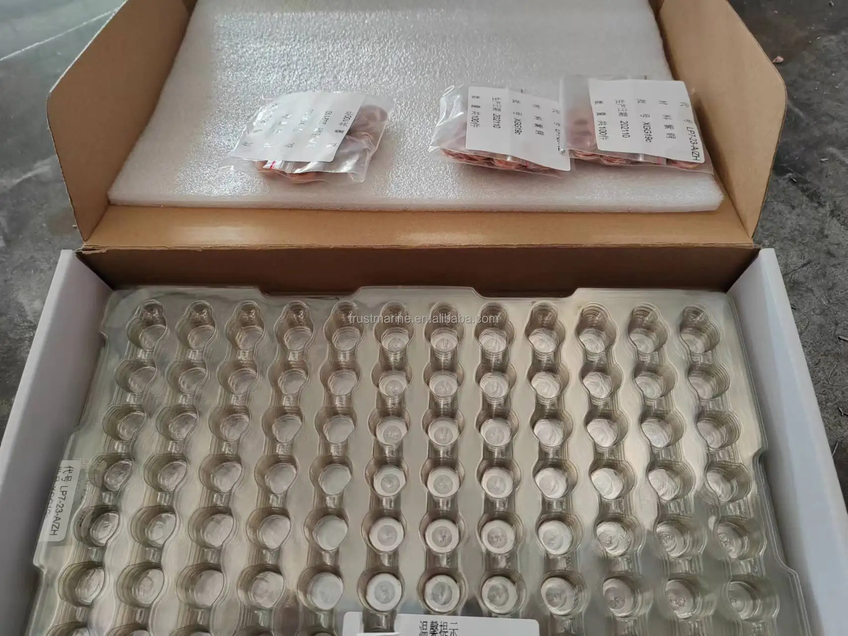 Customized Small Size Bursting Rupture Disc for Oil & Gas