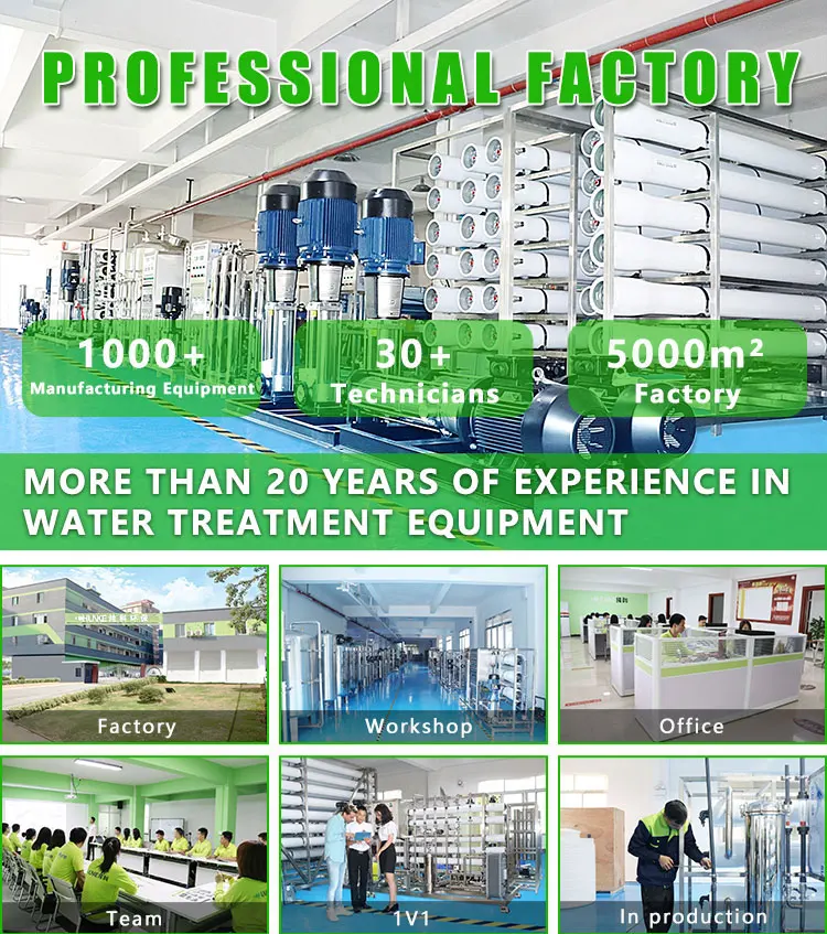 1m3ph Dual Stage Commercial Pure Water Dual Stage Reverse Osmosis ...