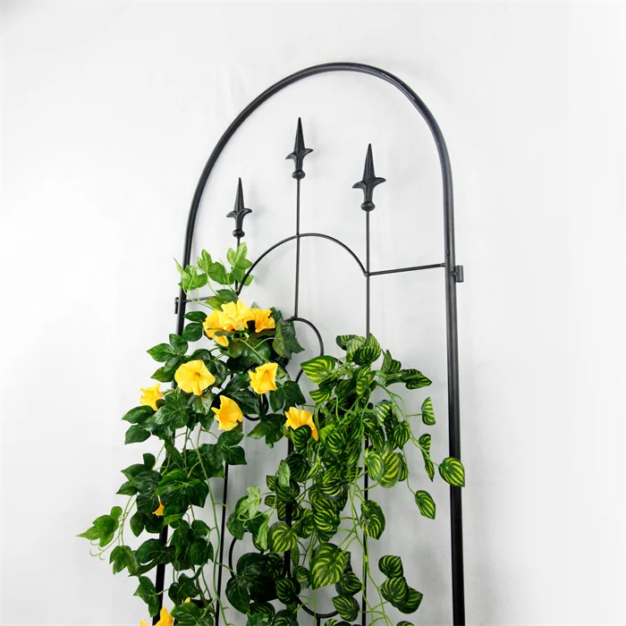 Trellis Rose Plant Support - Climbing Vines & Metal Obelisk