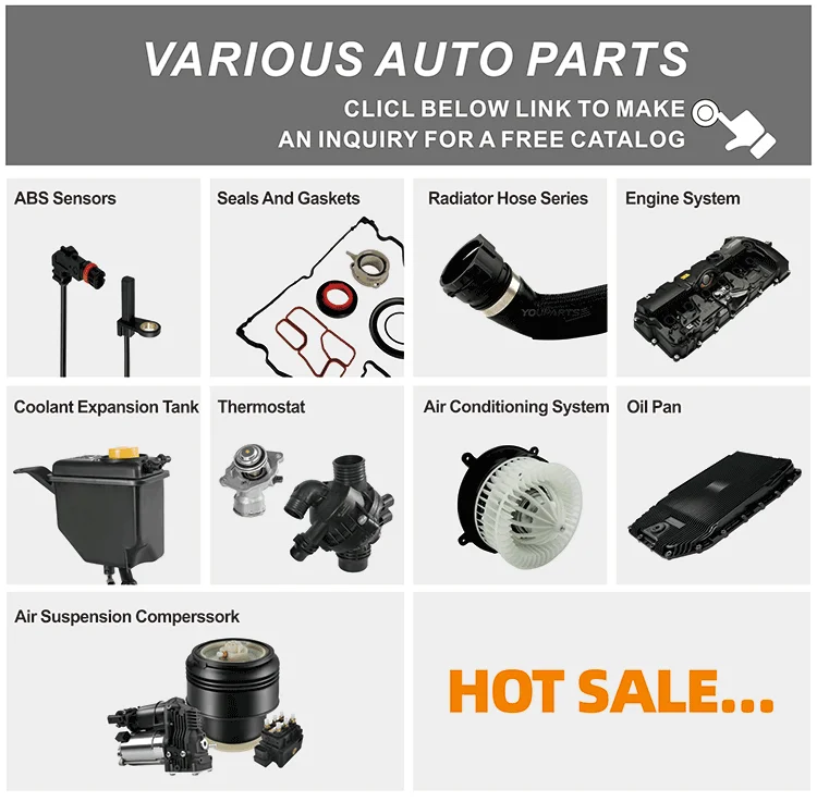 YOUPARTS 11317512519 11317557948 Engine Parts Set N45 Timing Chain ...
