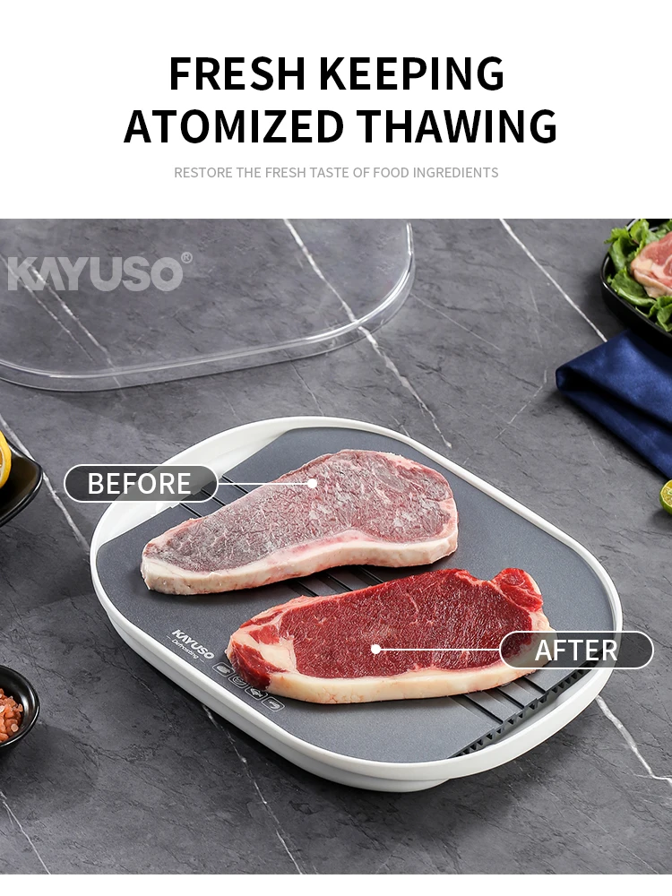 2022 New Defrosting Box For Faster Food De-icing Food-grade Meat ...