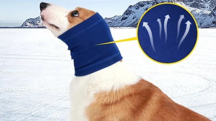 Breathable High Elasticity Head Protective Snood Pet Neck And Ears ...