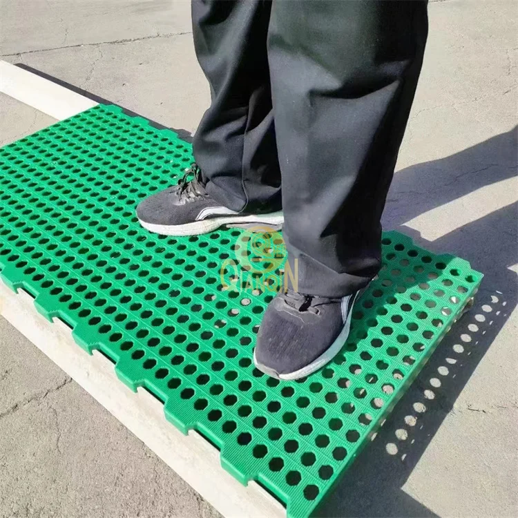 Customizing Different Sizes Plastic Fecal Leakage Plate For Pigs Sows ...