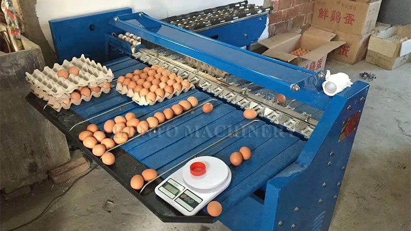 Industrial Egg Grading Machine Egg Sorter Sorting Machine - Buy Egg ...