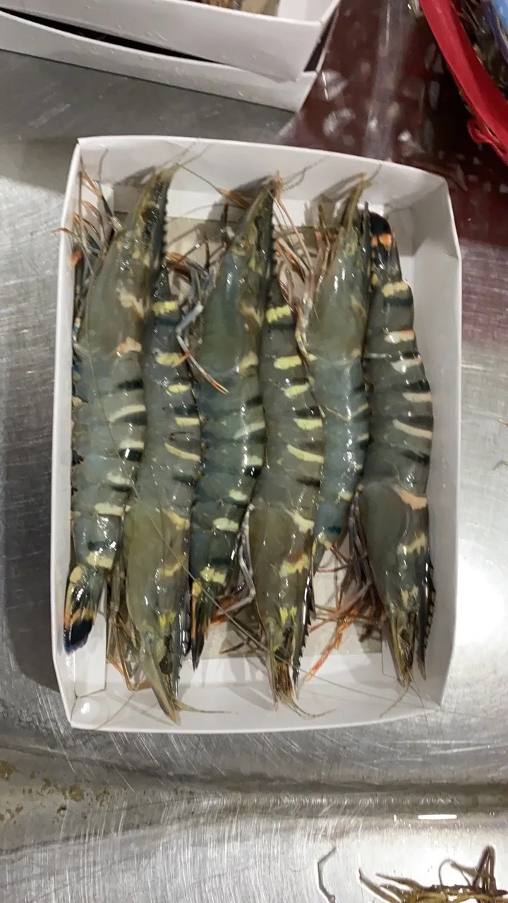 Frozen Black Tiger Shrimp Black Tiger Prawn - Buy Frozen Black Tiger ...