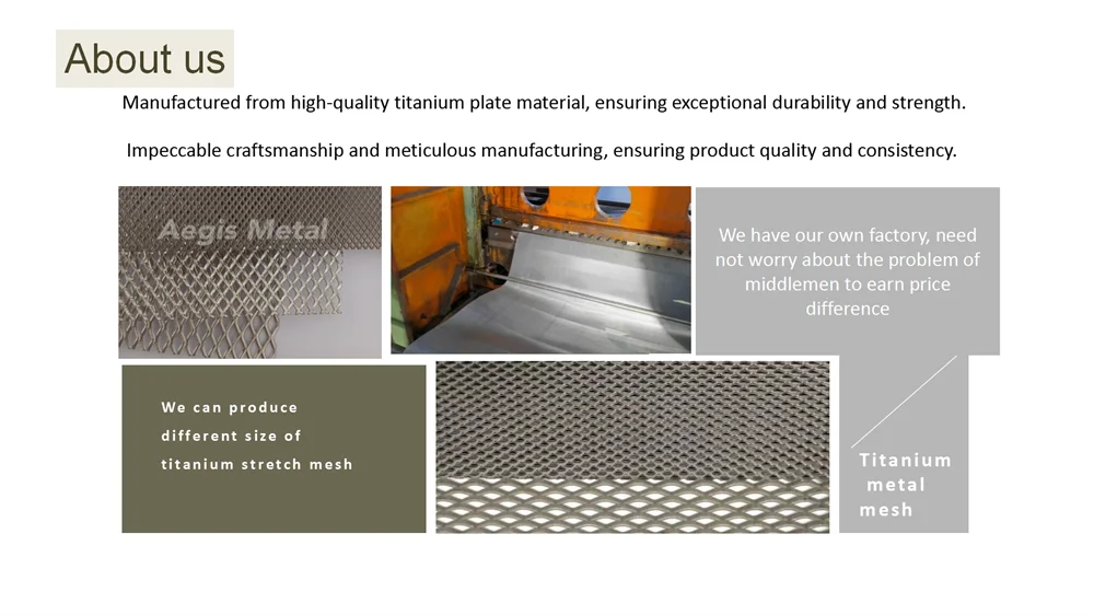 Expanded Metal Raney Nickel Wire Mesh Catalyst Electrolyzer