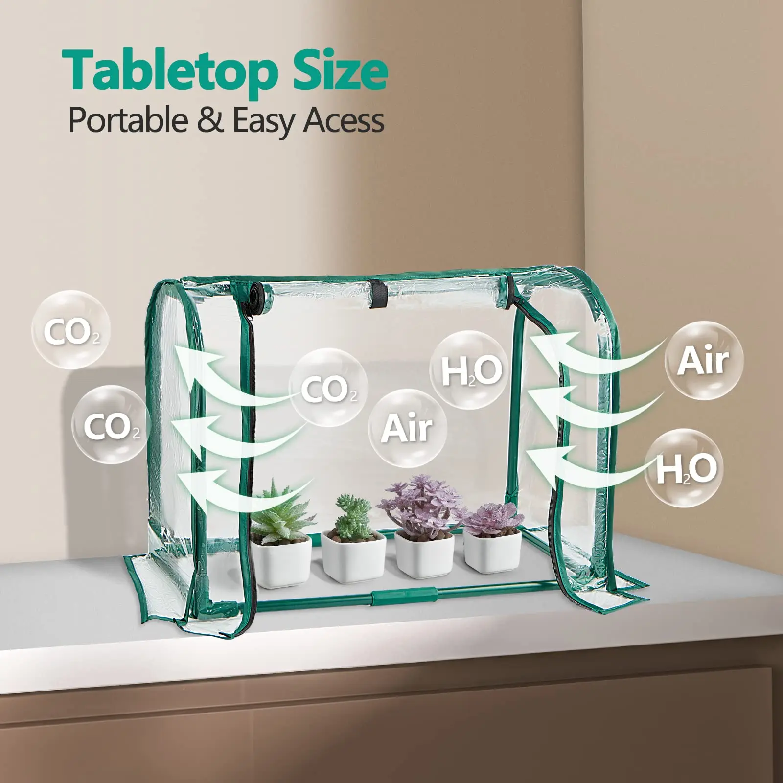 Mini Tabletop Portable Garden Greenhouse for Indoor/outdoor