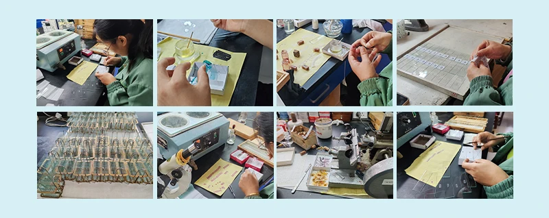 Prepared Slides For Histology Various Microscope Slides Animal Prepared ...