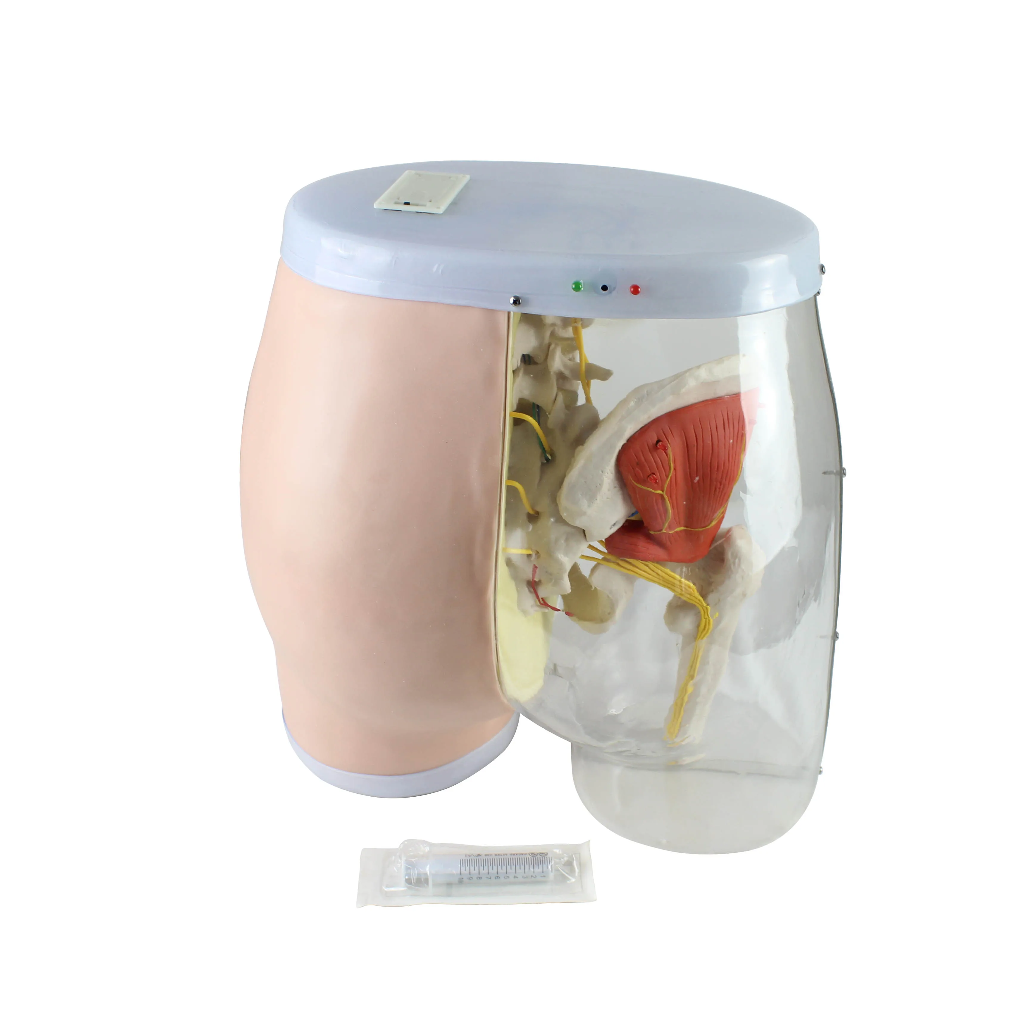 Intramuscular Injection Model - K Model Manikin for Medical Education