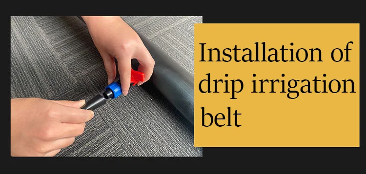 Agricultural Drip Irrigation Belt Pipe Canopy Planting Watering ...