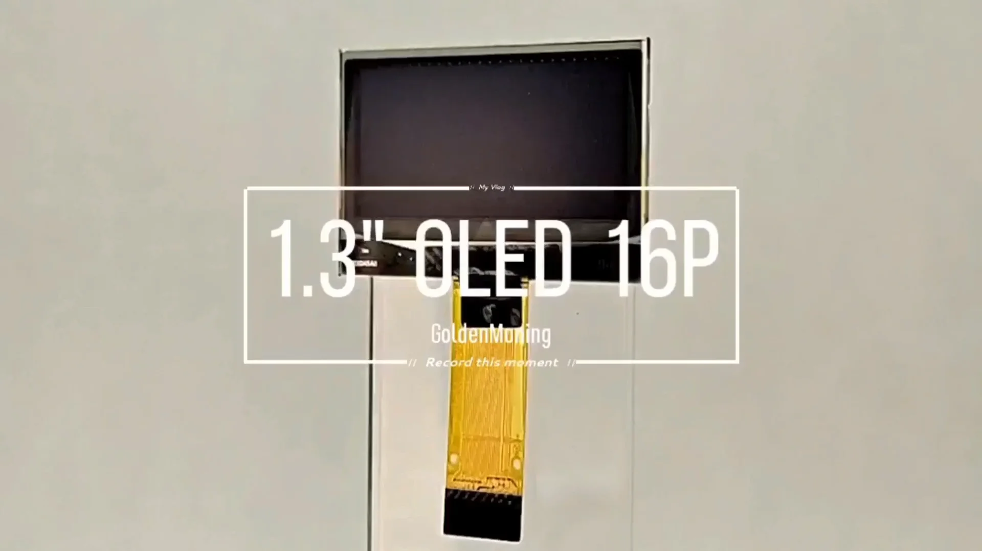 Professional 1.3" 13 Inch Oled Display Screen Ch1116g Sh1106 128x64 4 ...