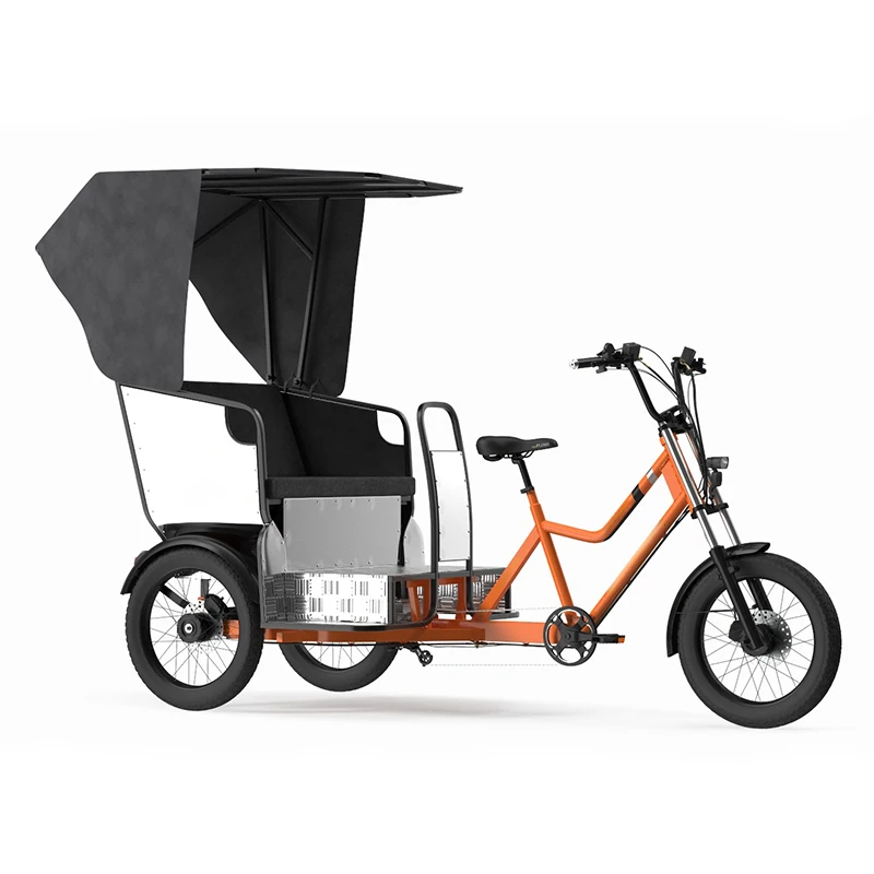 E Trike Electric Pedicab Rickshaw 48V 1000W Brushless Motor