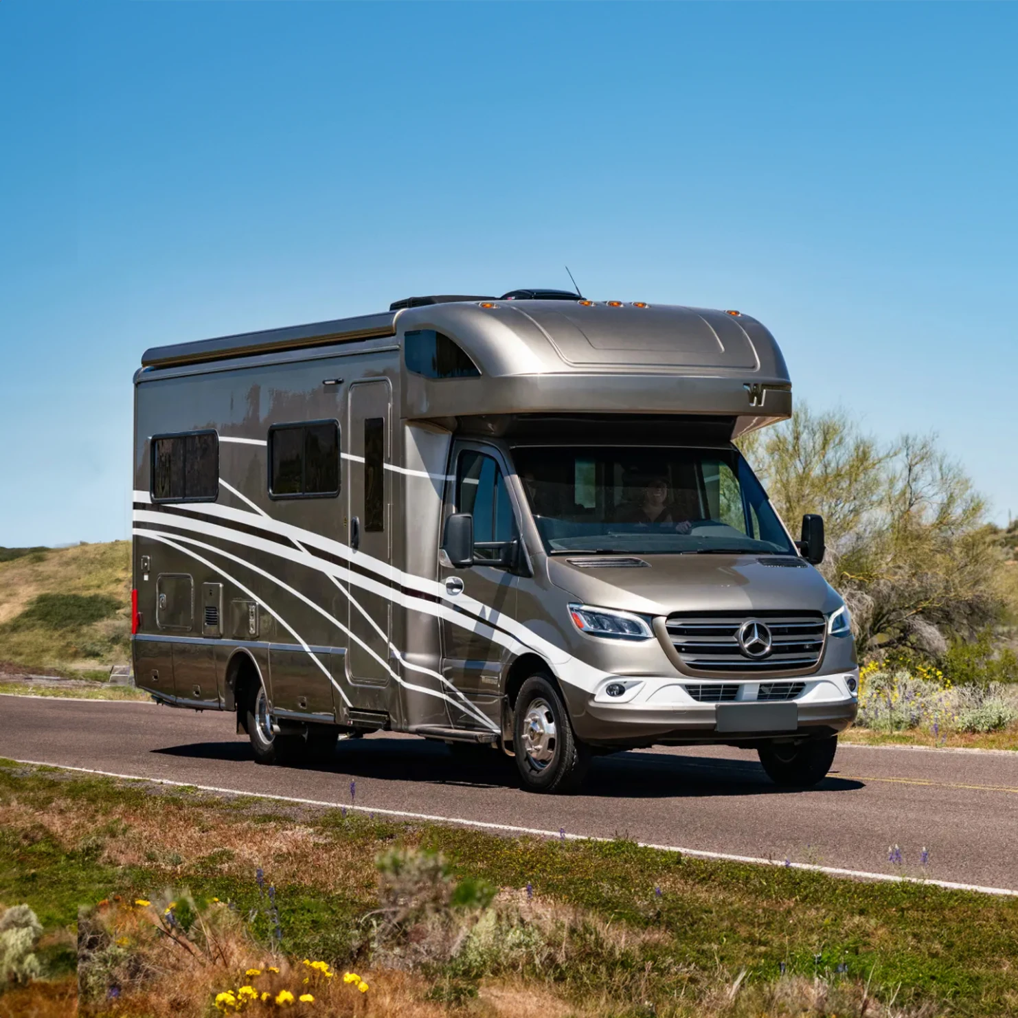 Ecocampor Truck Bed Camper - Durable & Versatile RV