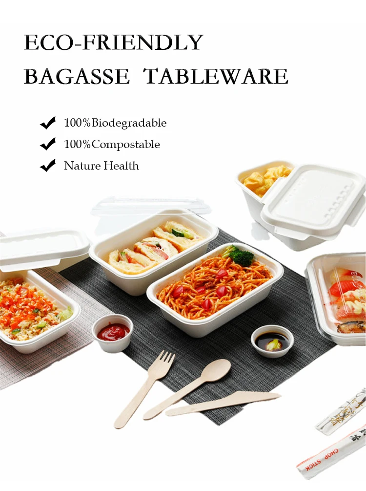 Wholesale Biodegradable Sugarcane Bagasse Container Disposable Takeaway ...