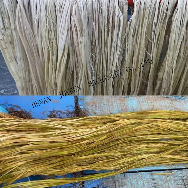 Hemp Ramie Jute Fiber Extracting Decorticating Machine Hemp Fiber ...