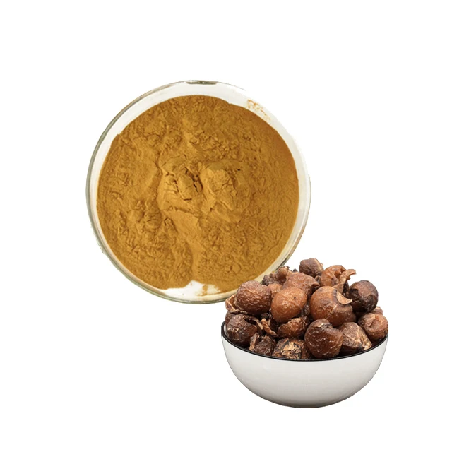 Soapberry Extract - Natural Saponins for Cosmetics