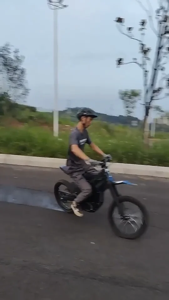 2024 Eec The Latest Version Surron Bike 72v Sur Ron Light Bee X 60v 38 ...