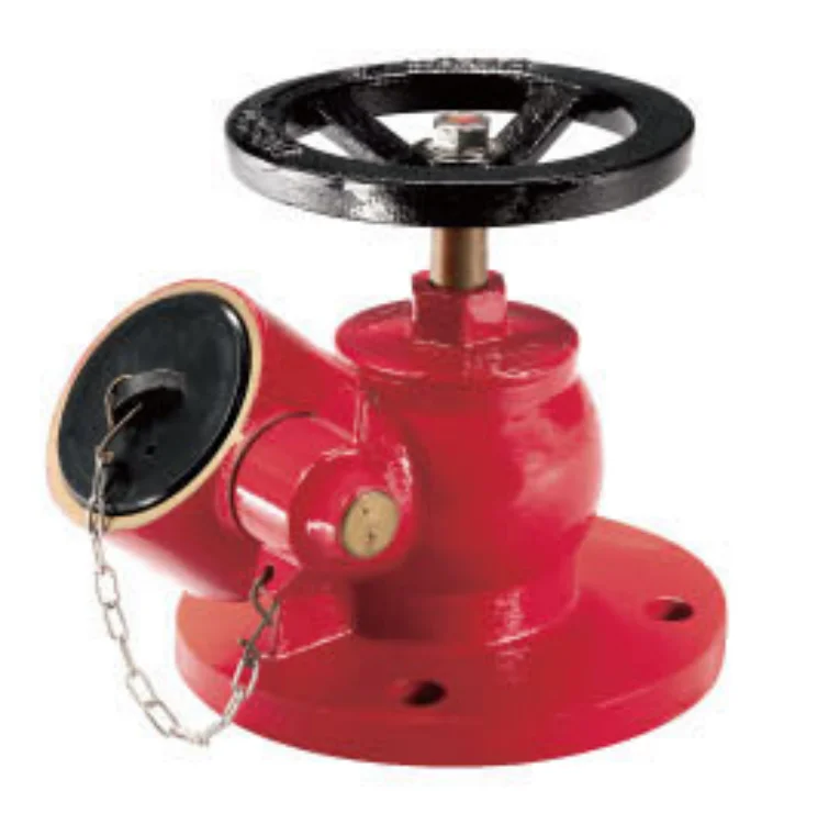 2.5 Inch Brass Oblique Type Flange Fire Hydrant Valve