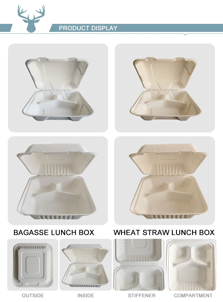 Biodegradable Paper Food Packaging - Sustainable Solutions