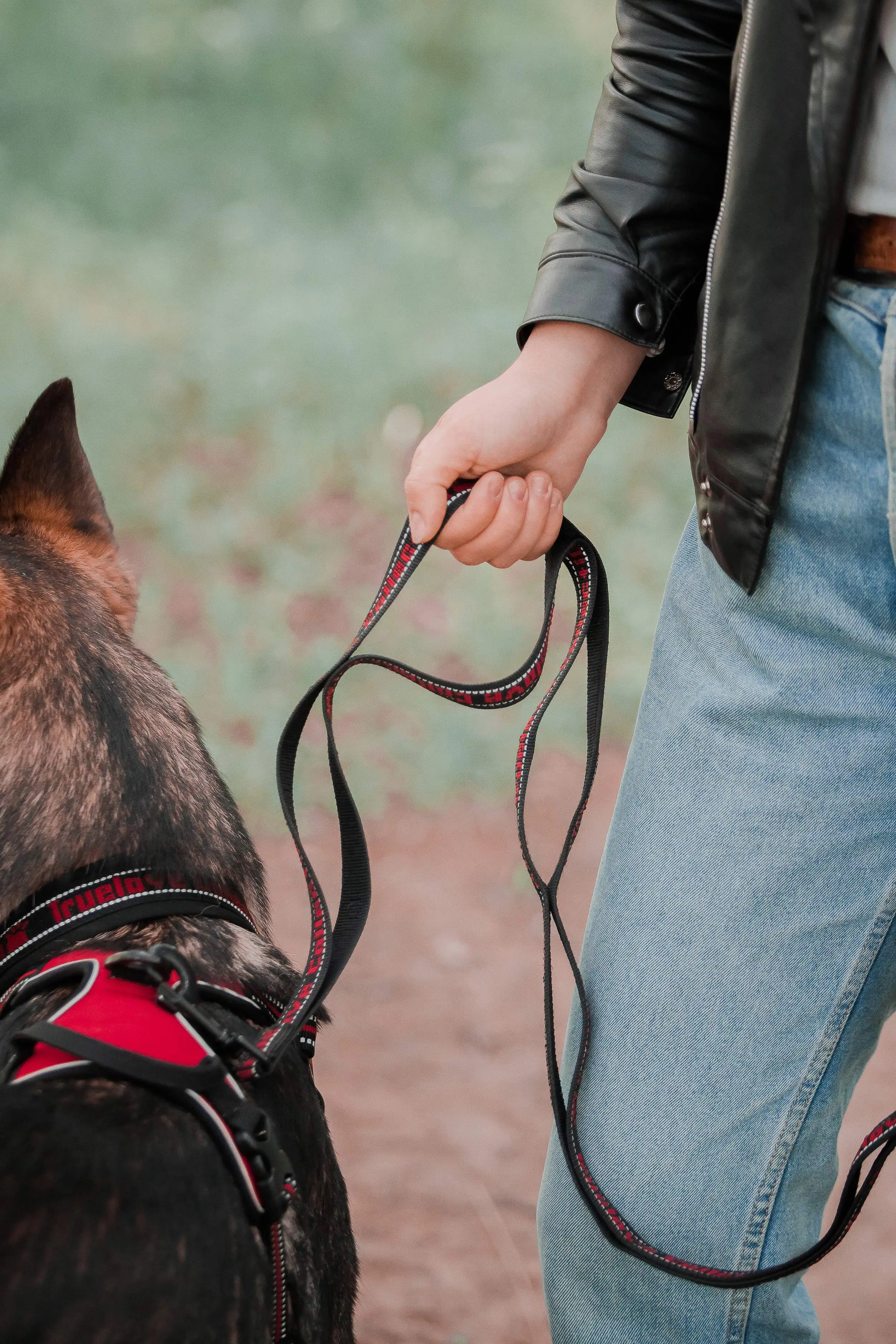Truelove Pet Leashes - High Quality, Reflective, and Durable