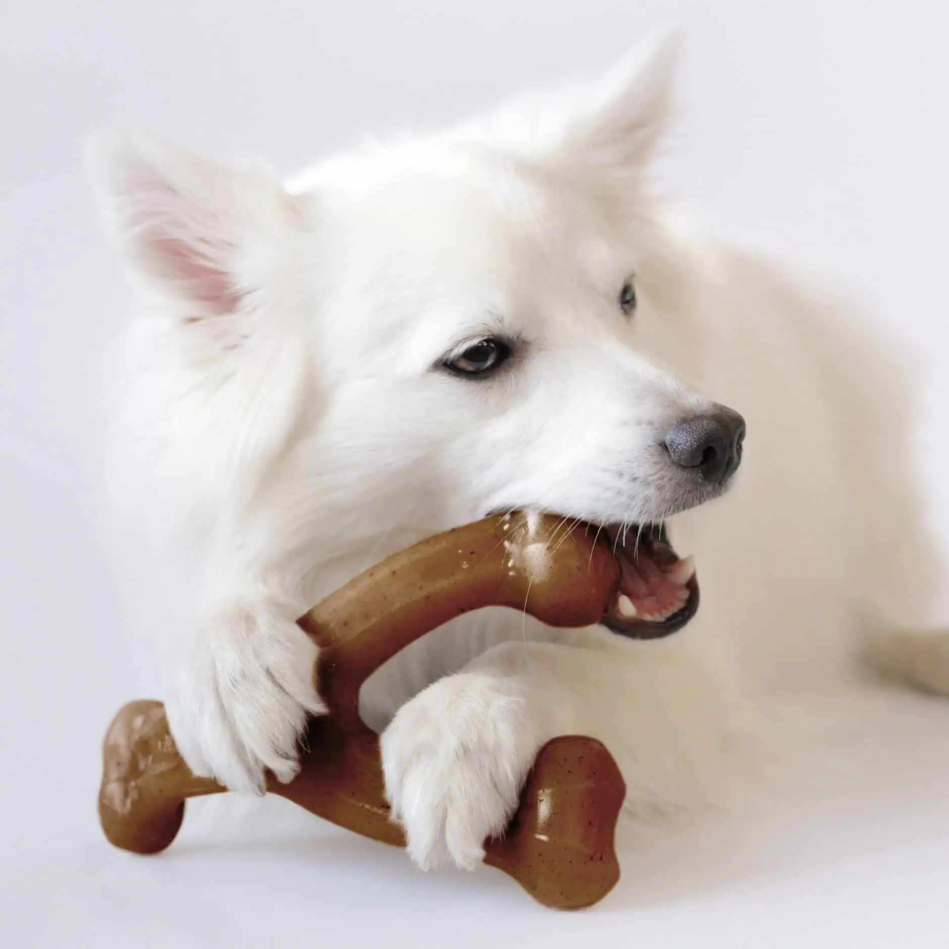 Benebone Nylon Bone Toy - Durable Chew for Aggressive Dogs