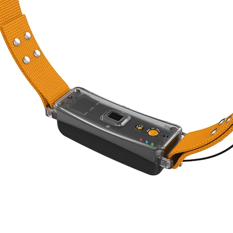 Iot Lorawan Gps Cattle Tracker For Smart Farming Lora Cattle And Asset Tracking Unit Device ...