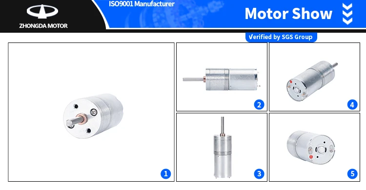 Customize DC Gear Motor 3V 6V 18V 36V 48V Electric Motors